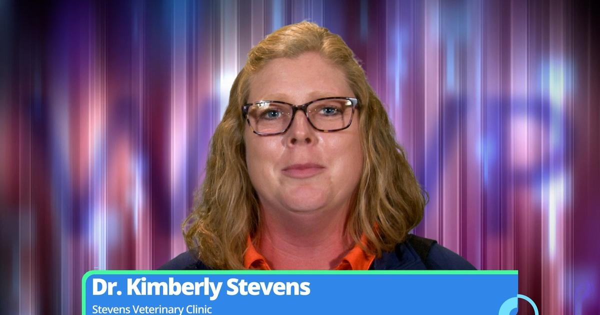 WTVP 50th Anniversary | Kimberly Stevens | 50th Anniversary | PBS