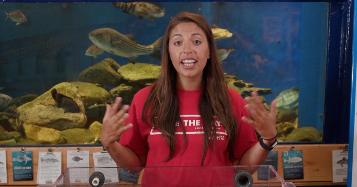 Camp TV | Favorite Season Day | Season 2020 | PBS