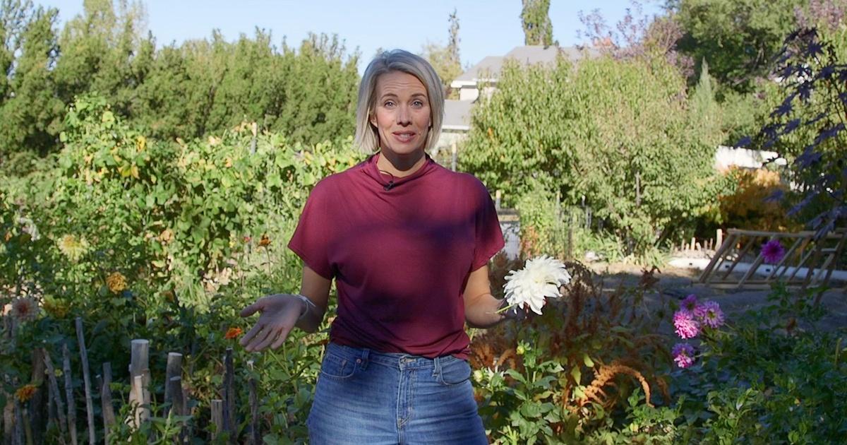 Modern Gardener | What's Happening in My Garden in October? | Episode ...