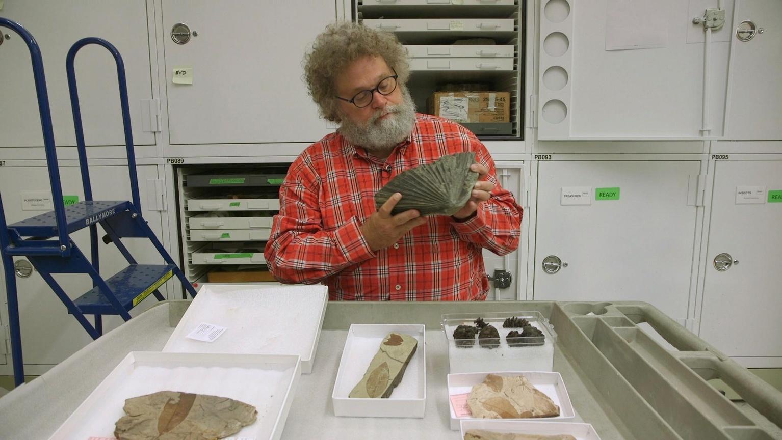 Mossback's Northwest | Bertha’s Legacy: Seattle’s First Female Mayor ...