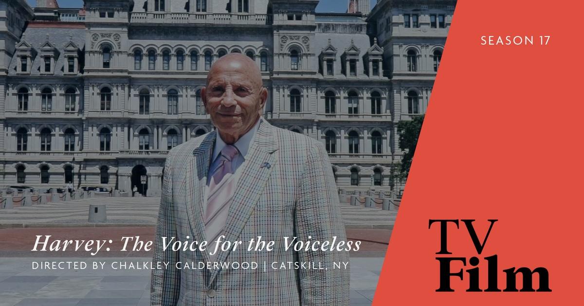 TvFilm | "Harvey: The Voice for the Voiceless" Preview | Season 17 ...