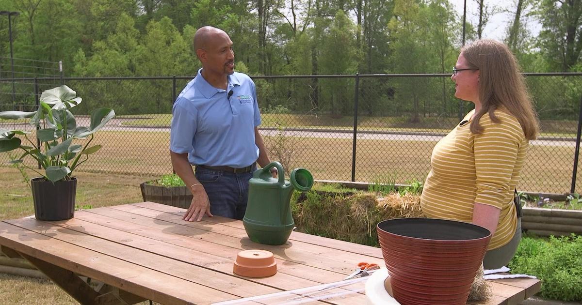 The Family Plot | Building A Self-Watering Pot & Reading Chemical ...