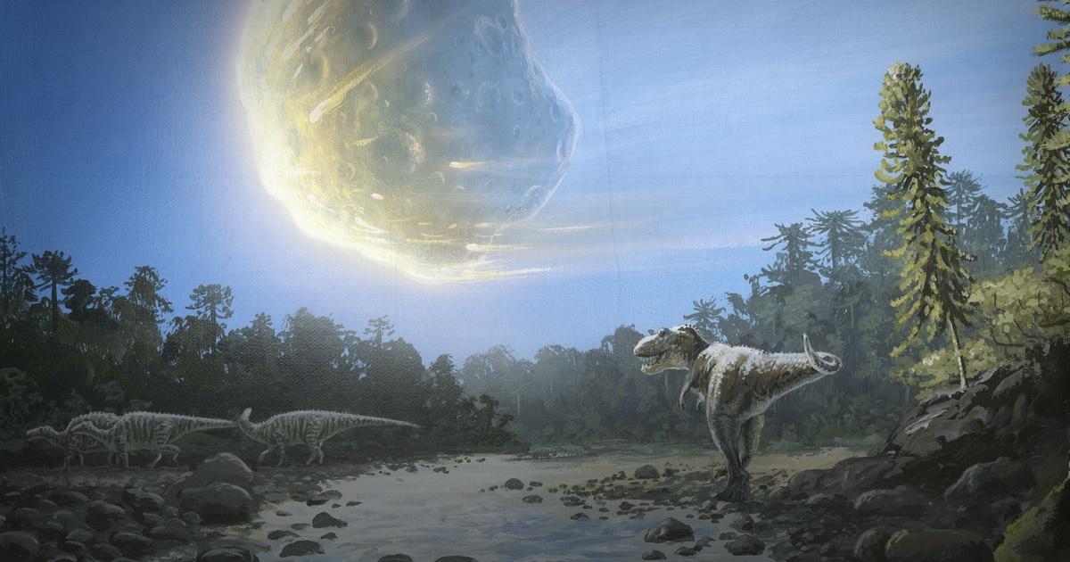 Eons | How a Mass Extinction Event Created the Amazon | Season 4 ...