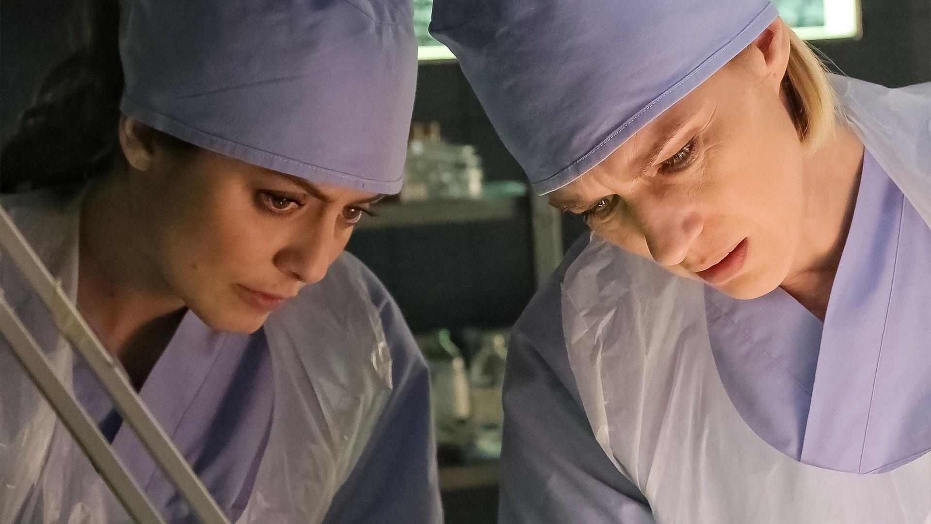 A Bit of Madness in Spring | The Good Apprentice | THIRTEEN - New York ...