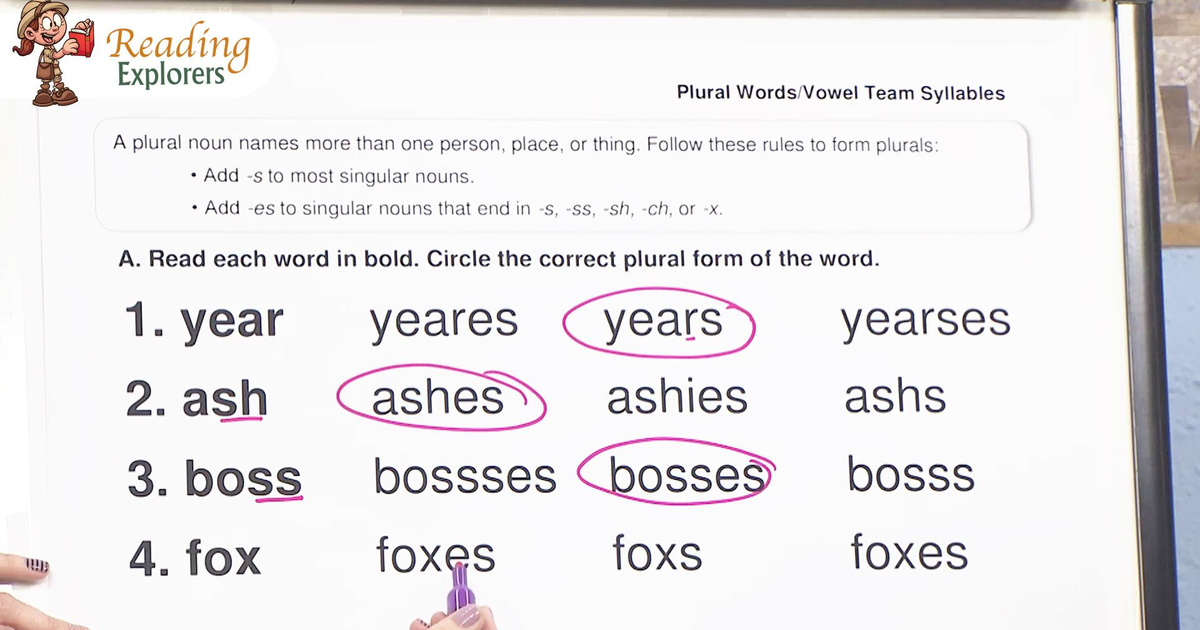 Reading Explorers | 3-313: Plural Nouns and Root Word Comprehension ...