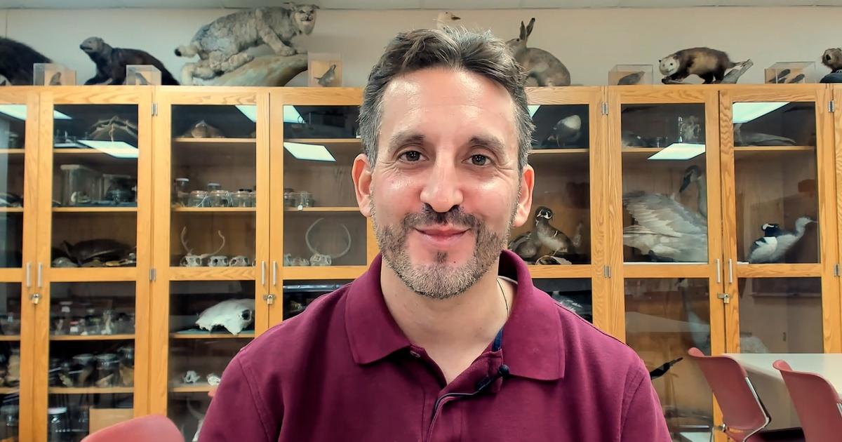 University Place | Birds as Sentinels of Climate Change | PBS