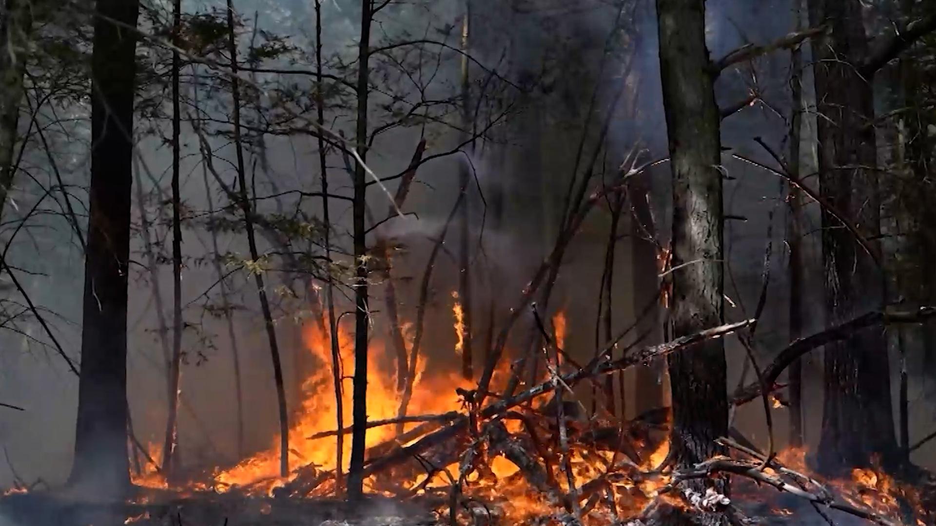 Firefighters are still battling West Milford wildfire | NJ Spotlight ...
