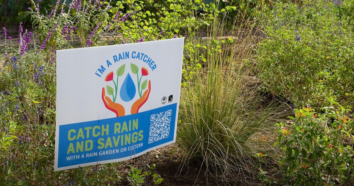 Central Texas Gardener | Rain Gardens: Catch and Hold Runoff Water ...