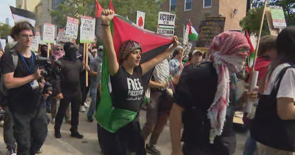 Chicago Tonight | Protesters March Through Chicago on First Day of DNC ...