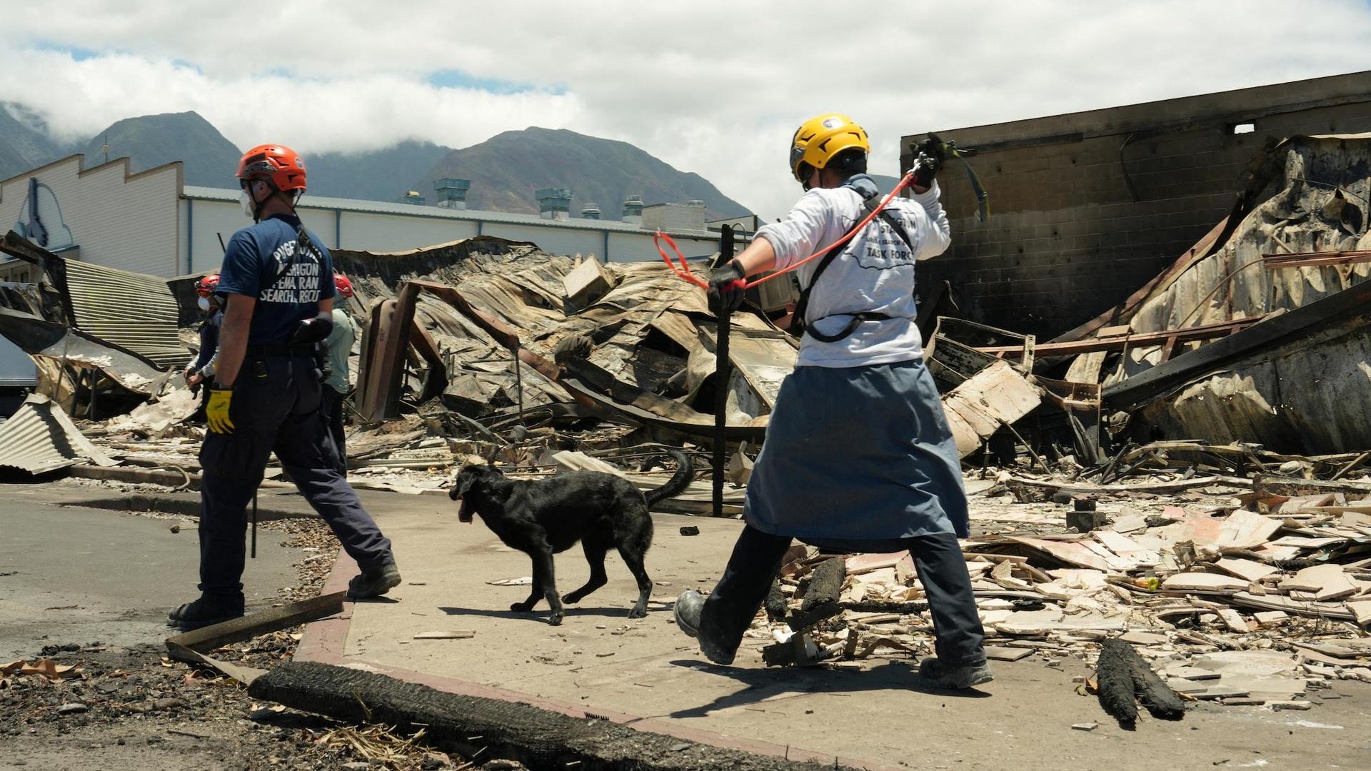 How officials can improve disaster responses | PBS News Hour | THIRTEEN ...