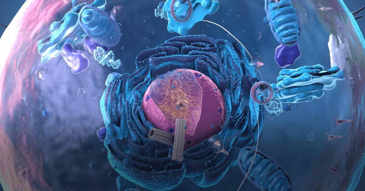 Eons | Did An Ancient Pathogen Reshape Our Cells? | Season 4 | Episode ...