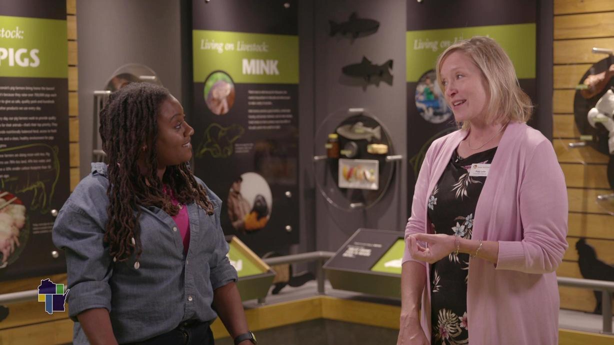 Angela Fitzgerald visits the Farm Wisconsin Discovery Center | Watch ...
