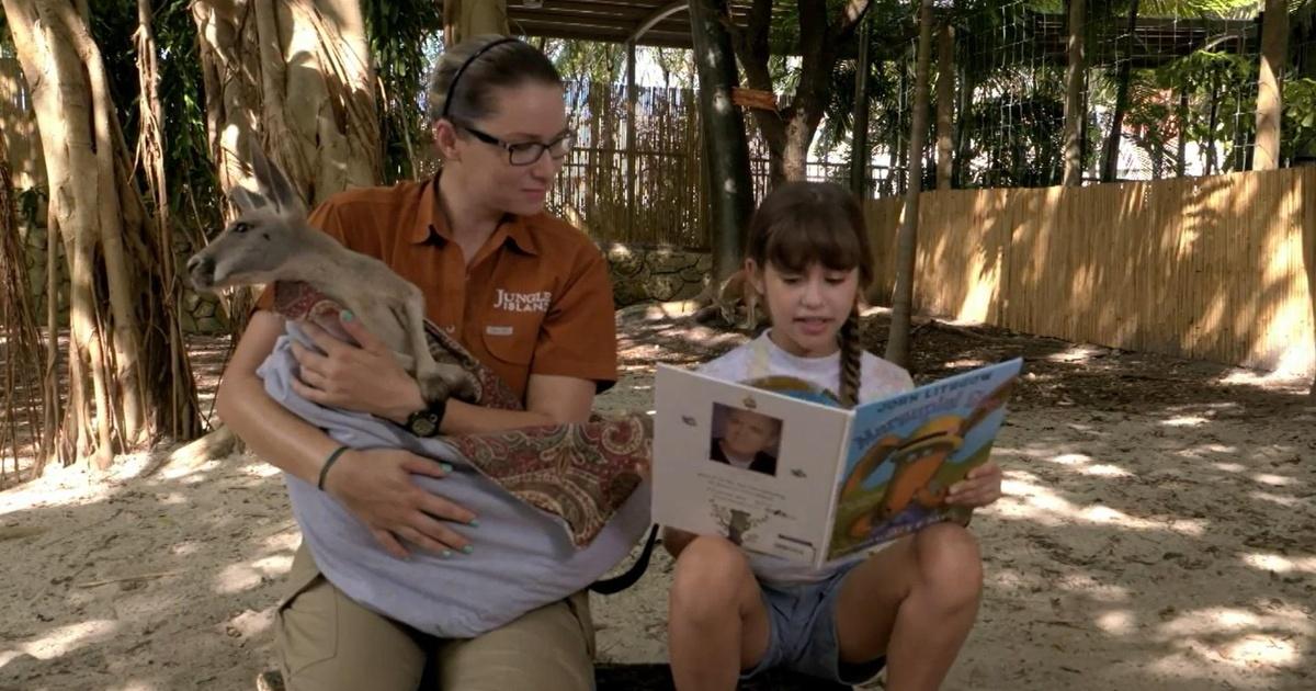 Kid Stew | Kid Stew 103 | Season 1 | Episode 103 | PBS