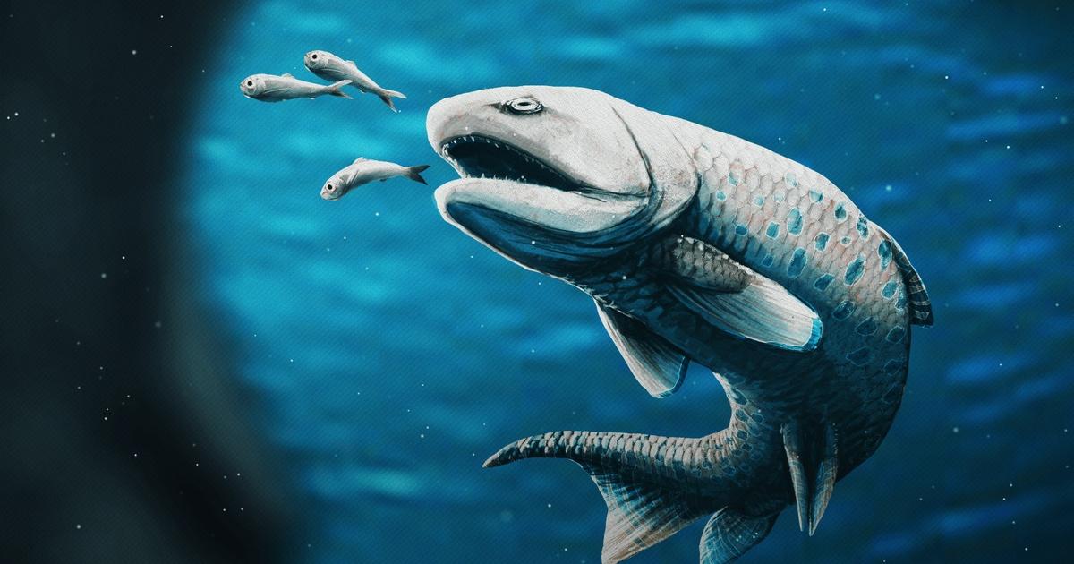 Eons | How Vertebrates Got Teeth... And Lost Them Again | Season 4 ...