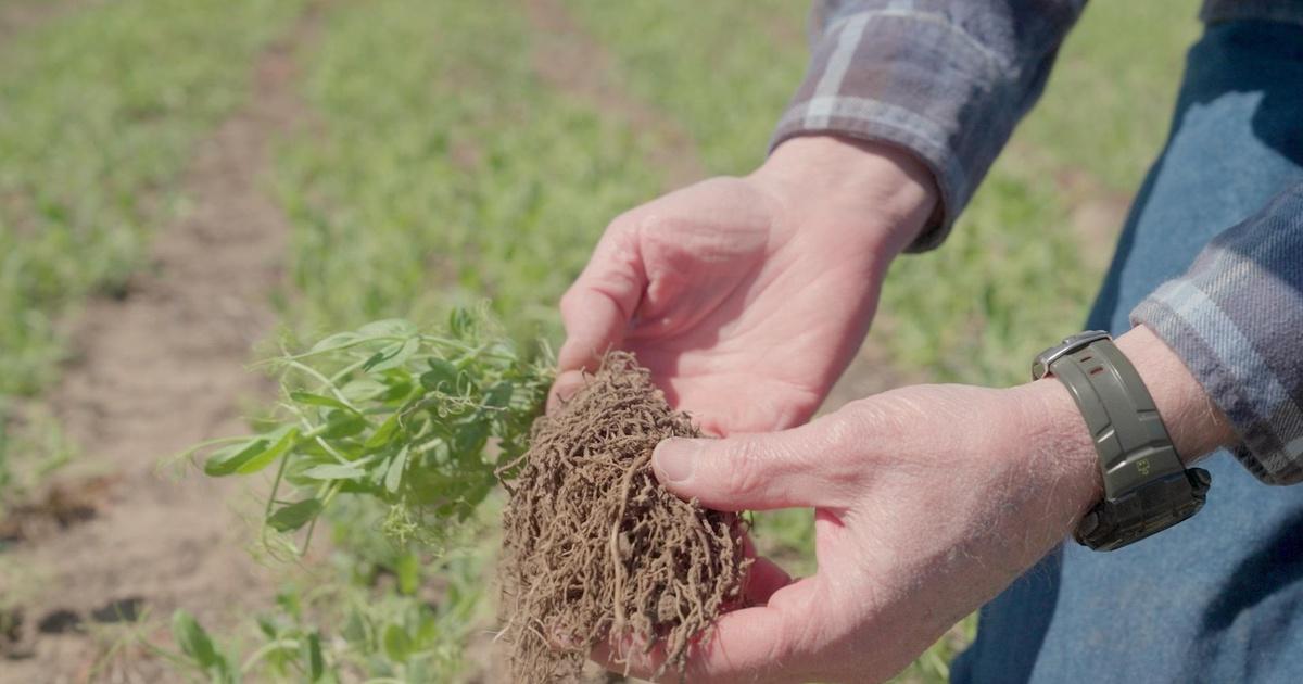 Superabundant | How Oregon foods are adapting to a changing climate ...