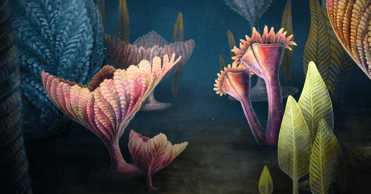 Eons | These Fossils Were Supposed To Be Impossible | Season 5 ...