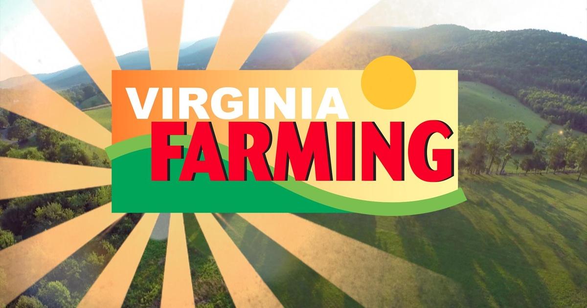 Virginia Farming | Virginia Farming: Restoring on - Farm Quail habitat ...