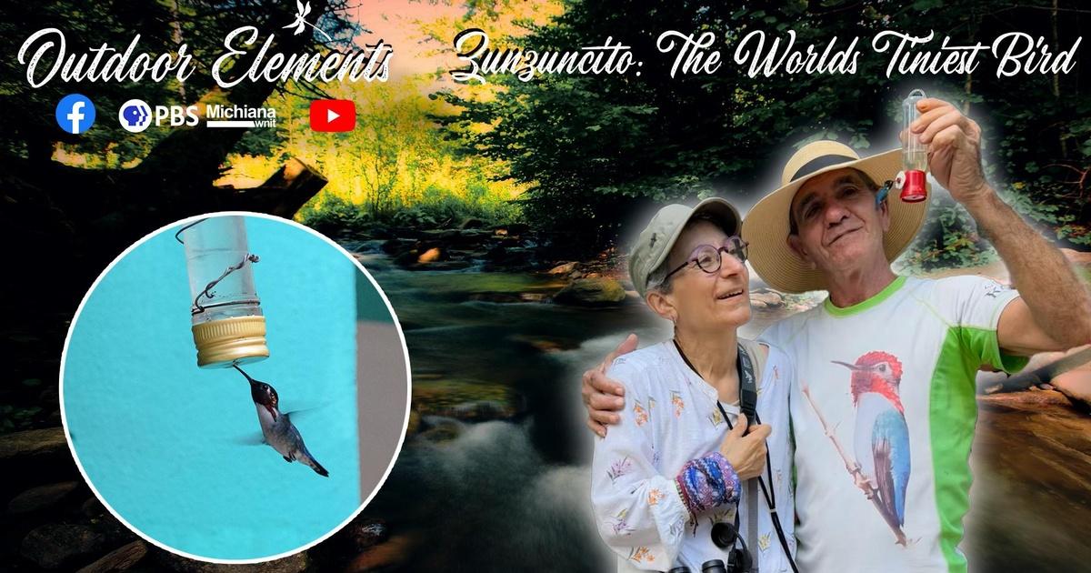 Outdoor Elements | Zunzuncito: The Worlds Tiniest Bird | PBS