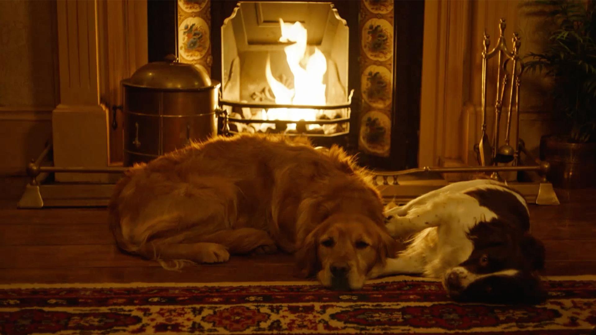 Yule Log | All Creatures Great and Small | THIRTEEN - New York Public Media