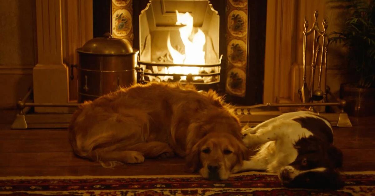All Creatures Great and Small | Yule Log | Season 5 | PBS
