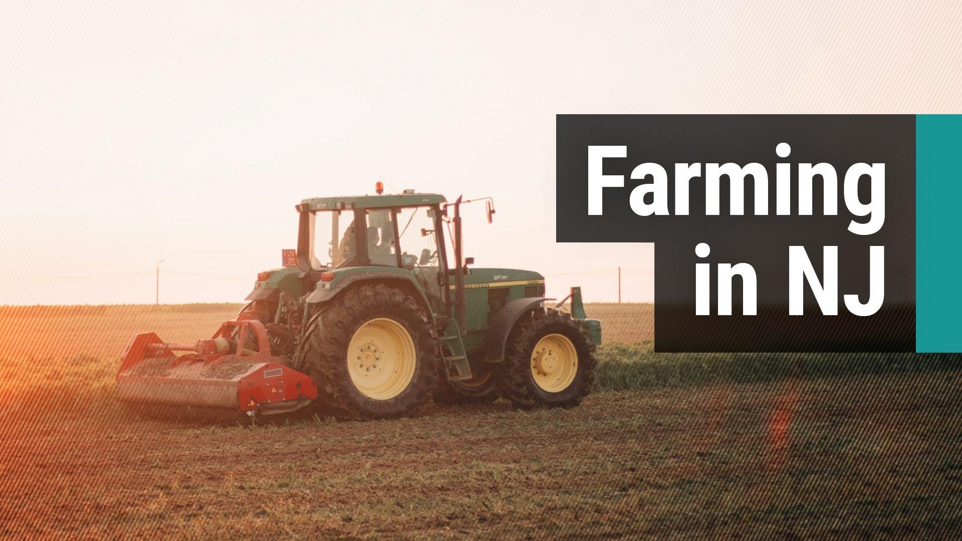 Agriculture: A multi-billion dollar industry in NJ | NJ Biz Beat with ...