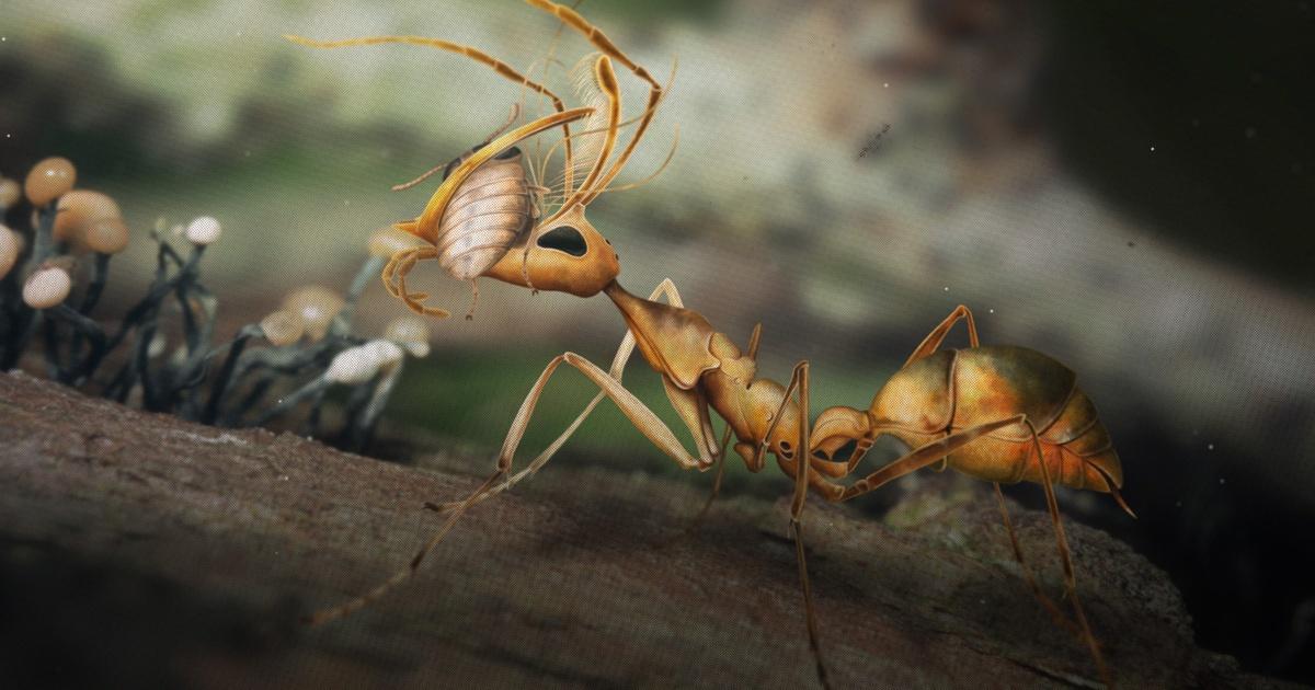 Eons | You're Living On An Ant Planet | Season 6 | Episode 5 | PBS