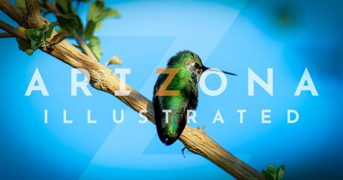 Arizona Illustrated | Textiles, campus safety and childcare | Season ...