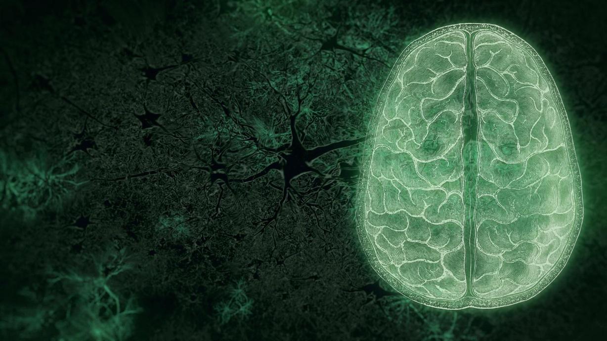 Your Brain: Who's in Control? Preview | Watch on PBS Wisconsin