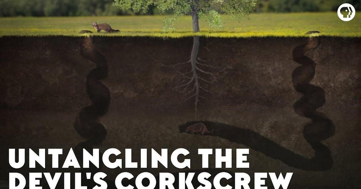 Eons | Untangling the Devil's Corkscrew | Season 1 | Episode 27 | PBS