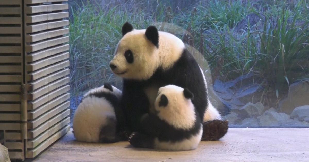 News Quiz | February 27, 2025 | Season 40 | Episode 20 | PBS