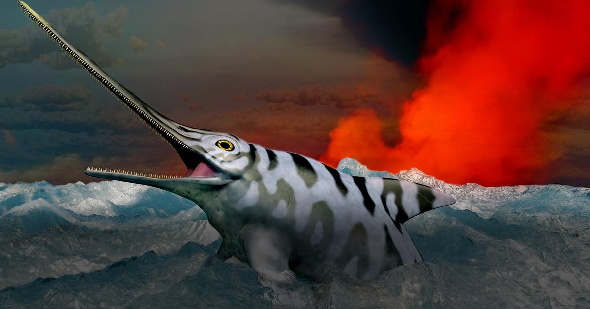 Eons | That Time The Ocean Lost (Almost) All Its Oxygen | Season 6 ...