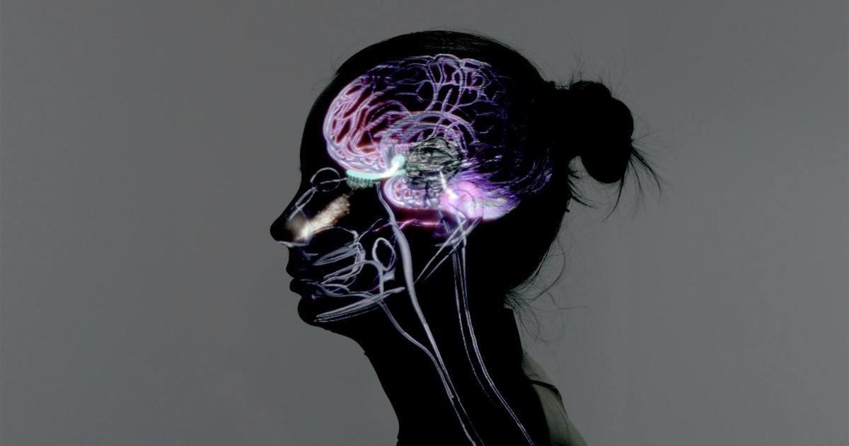 Human: The World Within | Our Sense of Smell | Episode 5 | PBS