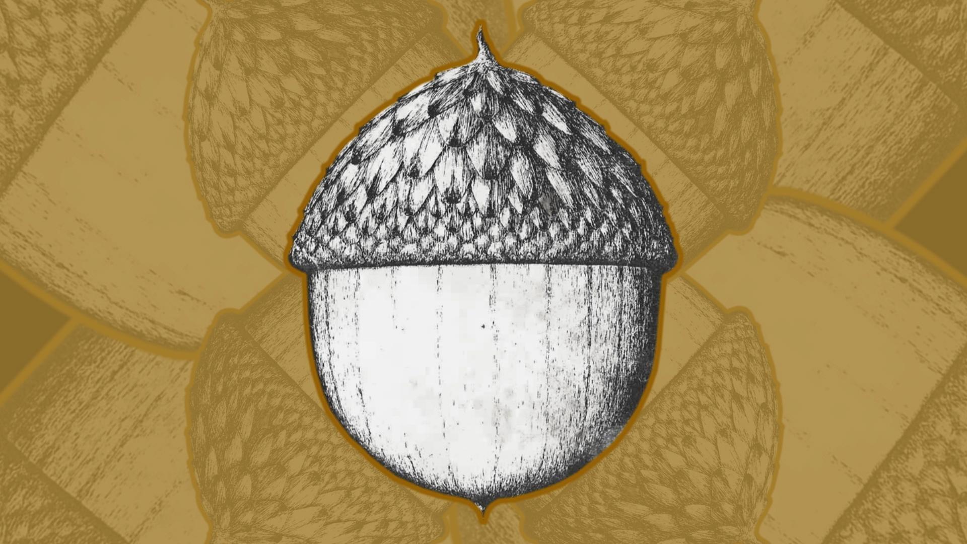 The Great Raleigh Acorn | PBS NC Arts | ALL ARTS