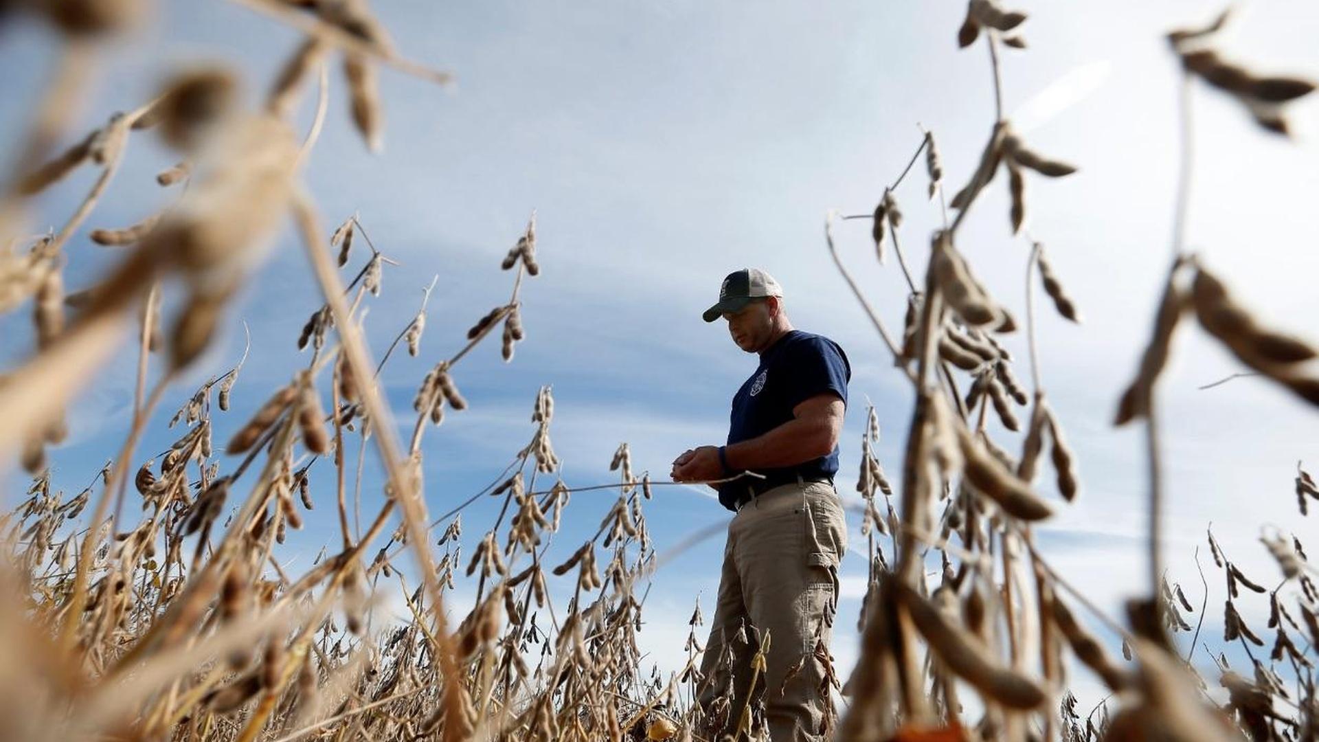 What struggling U.S. farmers want even more than federal aid | PBS ...