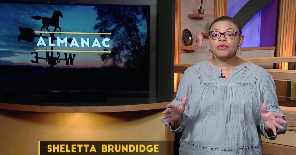 Almanac | Weekly Essay | Sheletta Brundidge | Season 2023 | Episode 8 | PBS