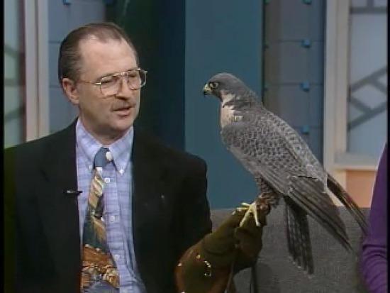 Almanac - Birds of Different Colors - Twin Cities PBS