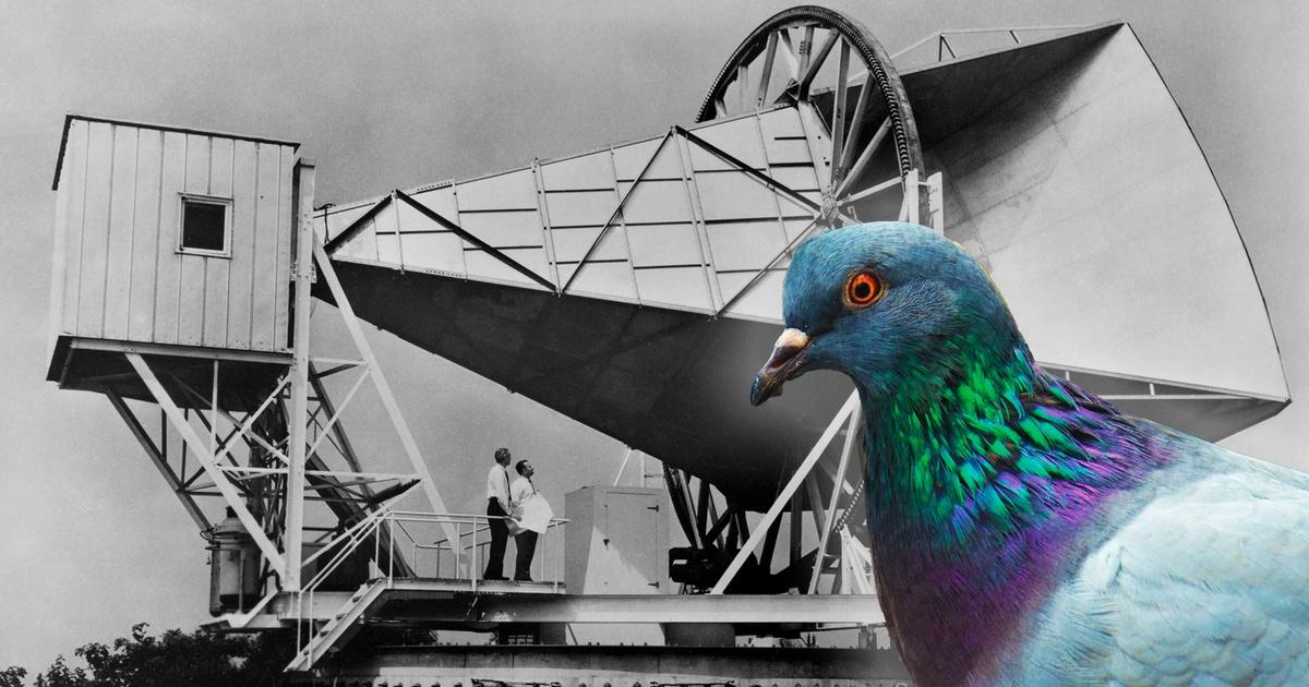 Fascinating Fails | How Pigeon Poop Helped Unlock the Universe’s Secrets | Episode 3 | PBS