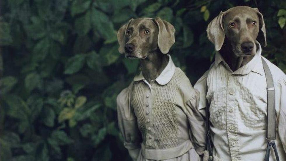 PBS News Hour - Artist William Wegman and his Weimaraner muses - Twin ...