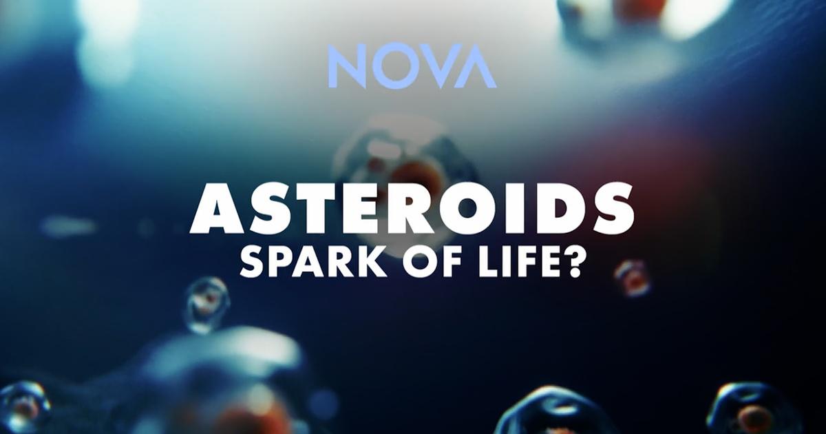 WTVP Spots | TRAILER | NOVA 5301 | Asteroid: Spark of Life? | Season ...