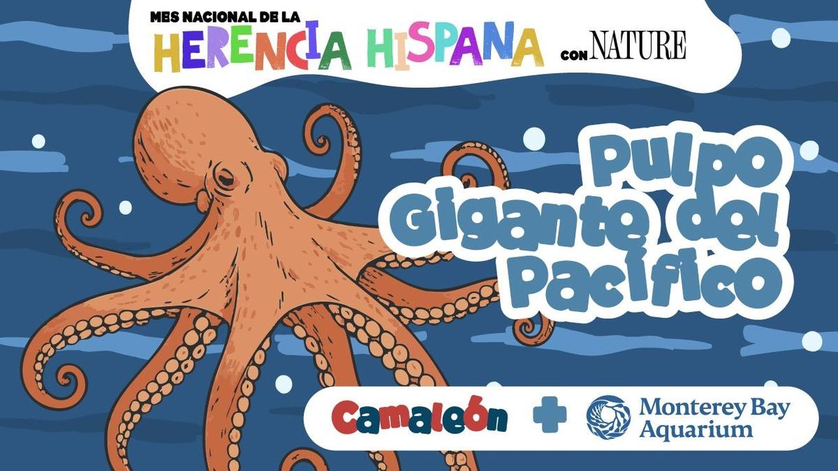 Pulpo Gigante del Pacifico: 8 brazos y 9 cerebros | Nature | THIRTEEN ...