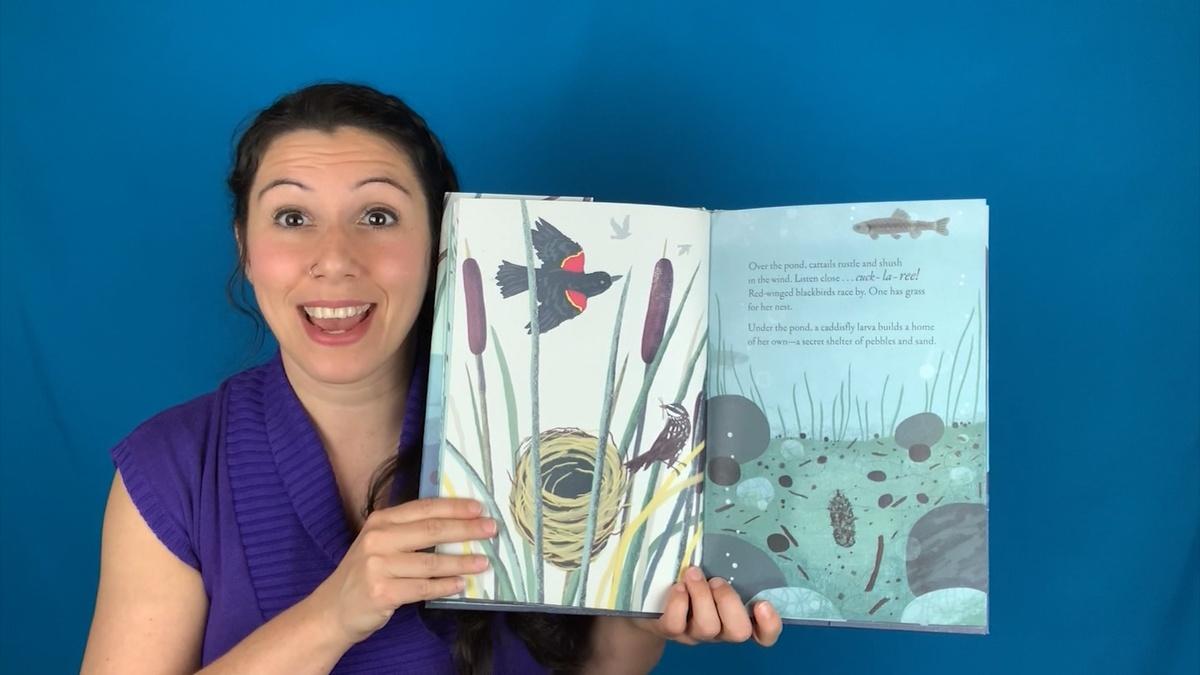 OVER AND UNDER THE POND | Let's Learn | THIRTEEN - New York Public Media