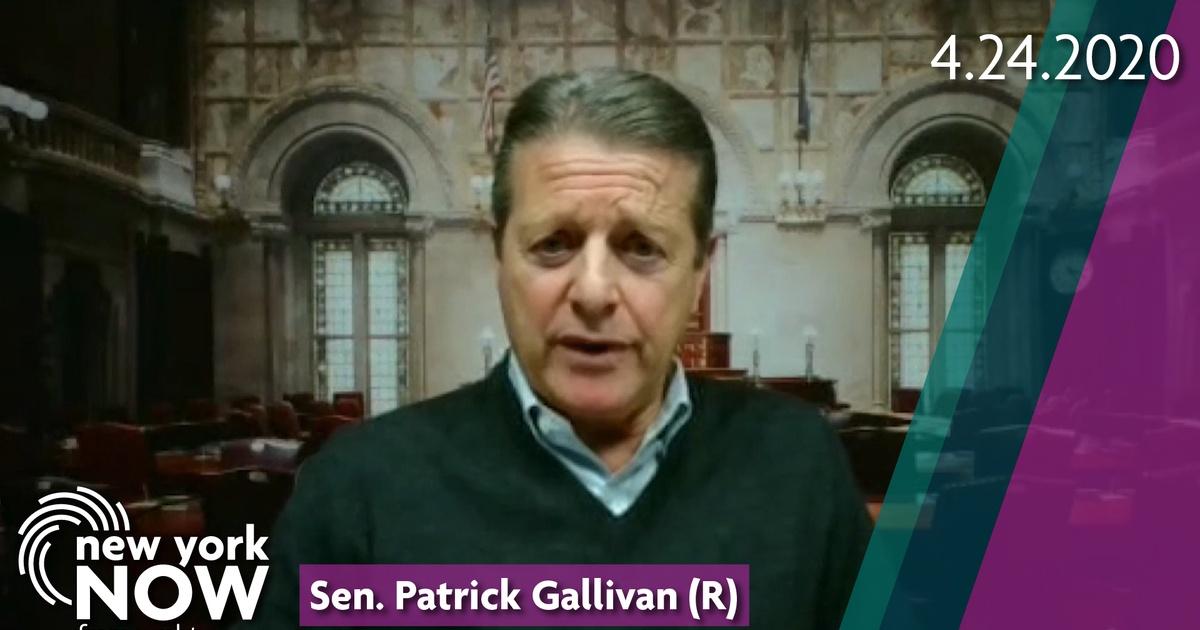 New York NOW | Senator Patrick Gallivan on health Network Readiness ...