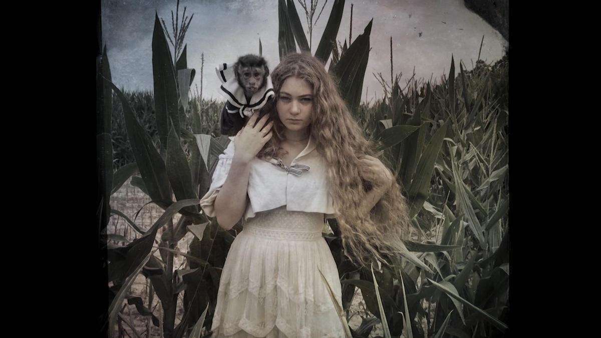 Amelia & the Animals: Photographer Robin Schwartz | State of the Arts ...
