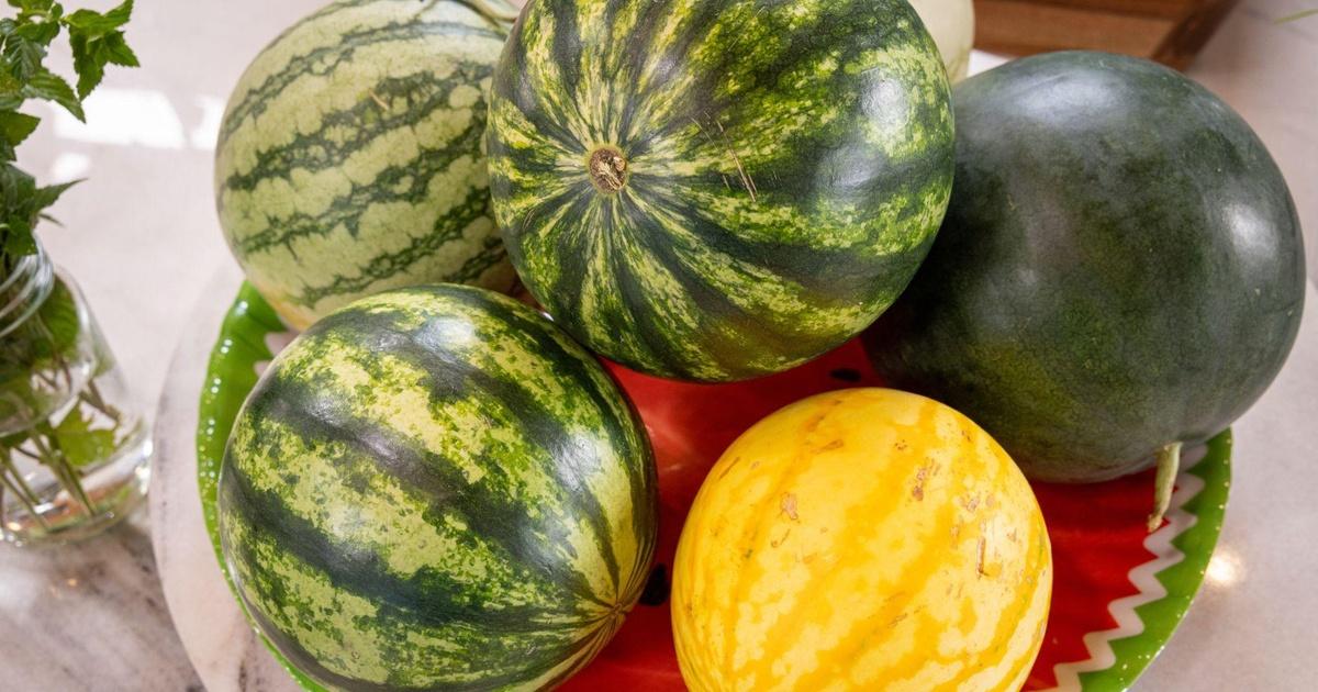 The Key Ingredient | Preview | Watermelon Vibes | Season 3 | PBS