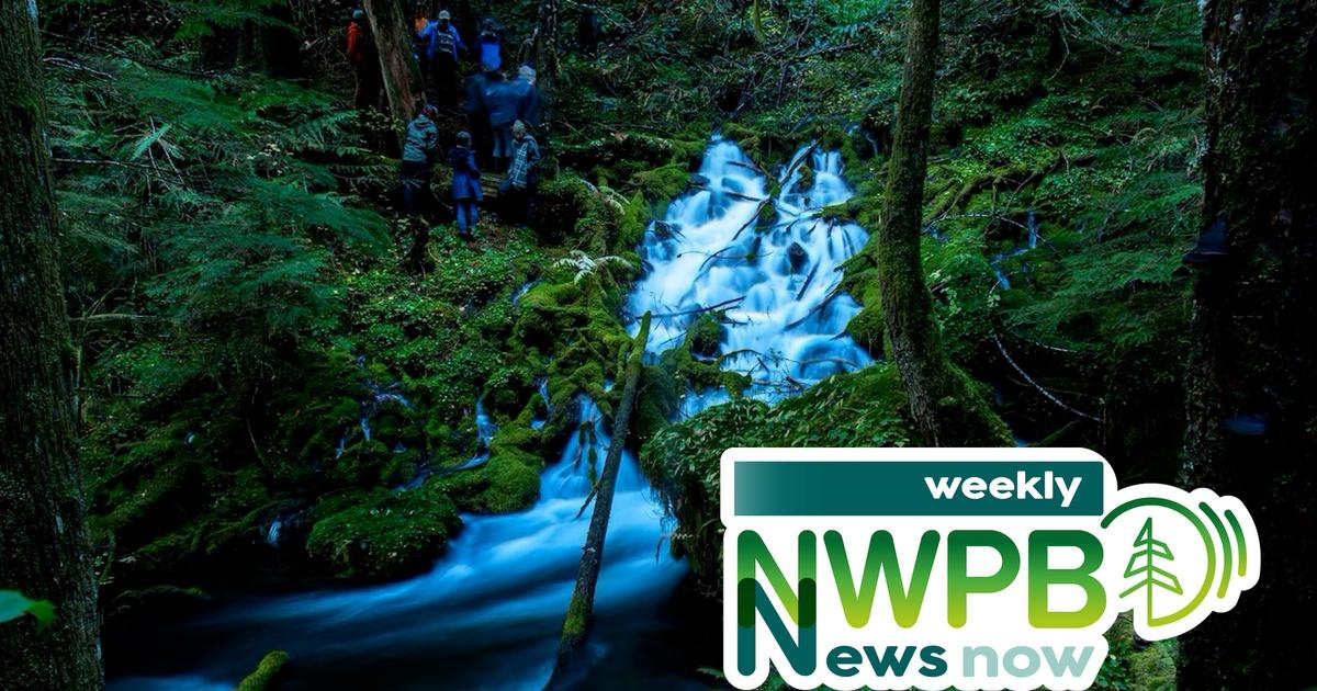NWPB Weekly News Now | Bird Flu in Washington, Large Aquifer Discovery ...
