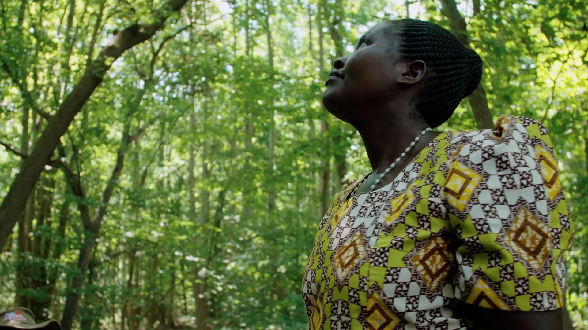 The Ants & the Grasshopper: The Series | Trailer | The Ants & the Grasshopper: The Series ...