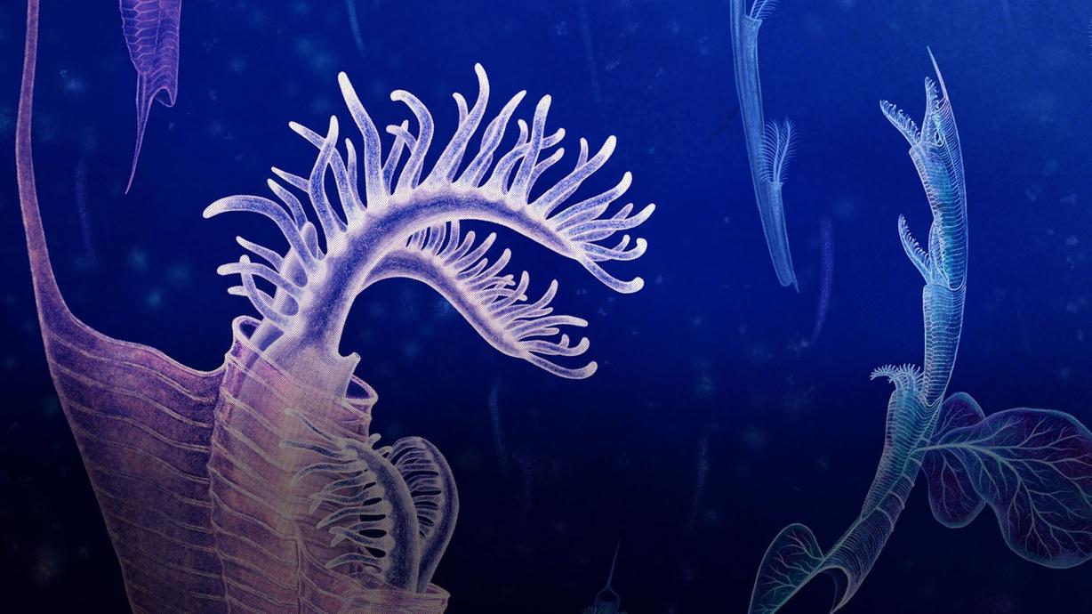 The Huge Extinctions We Are Just Now Discovering | Watch Eons on PBS ...