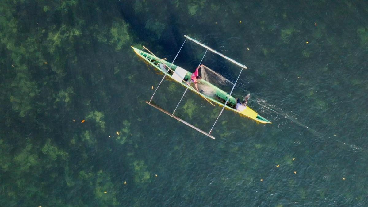 2023 Nominees: Revive our Oceans | The Earthshot Prize | THIRTEEN - New ...