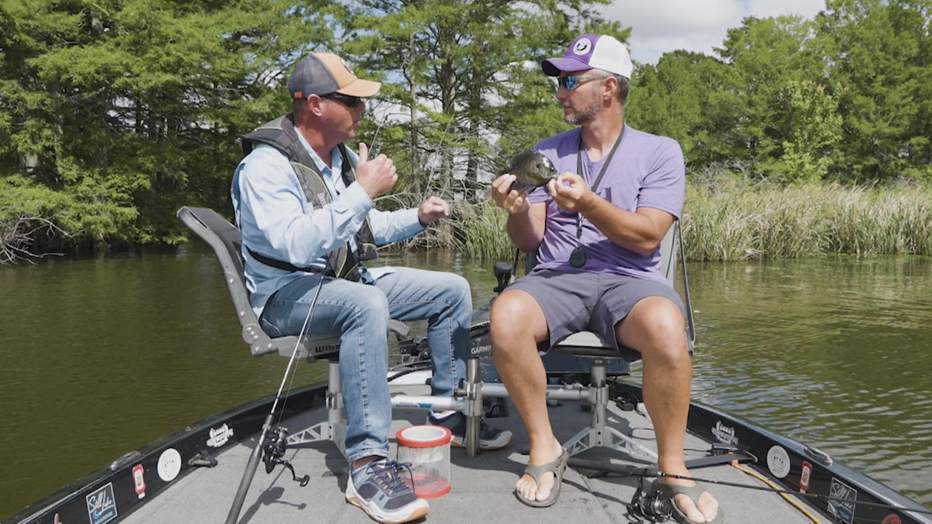 Bluegill Fishing, Largemouth Bass, Muskie Spawn | Kentucky Afield