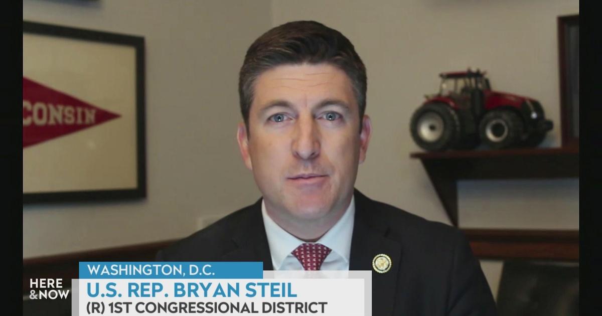 Here and Now | US Rep. Bryan Steil on Congress and Cuts by Musk and ...